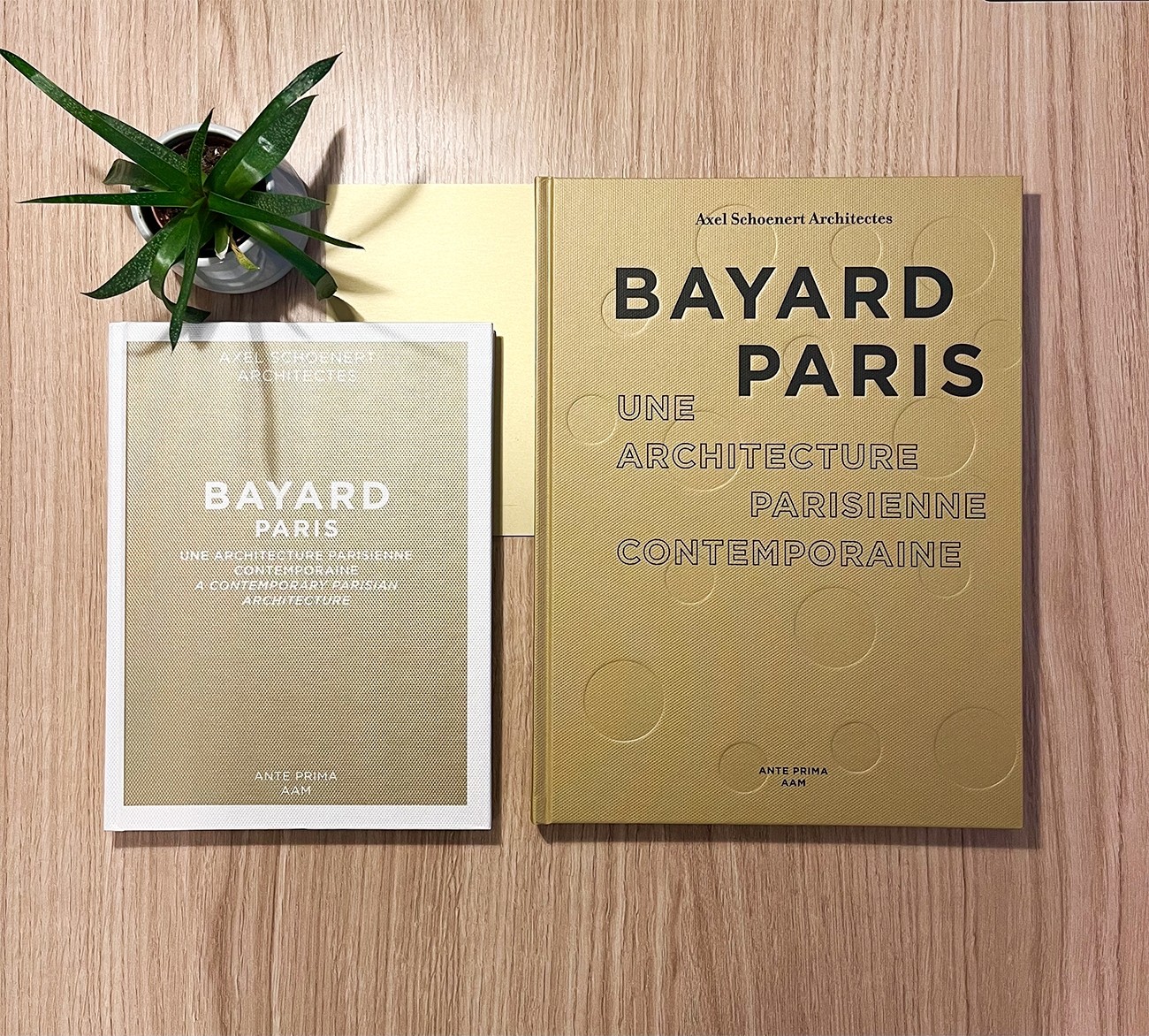 New edition ! | News - Axel Schoenert Architectes